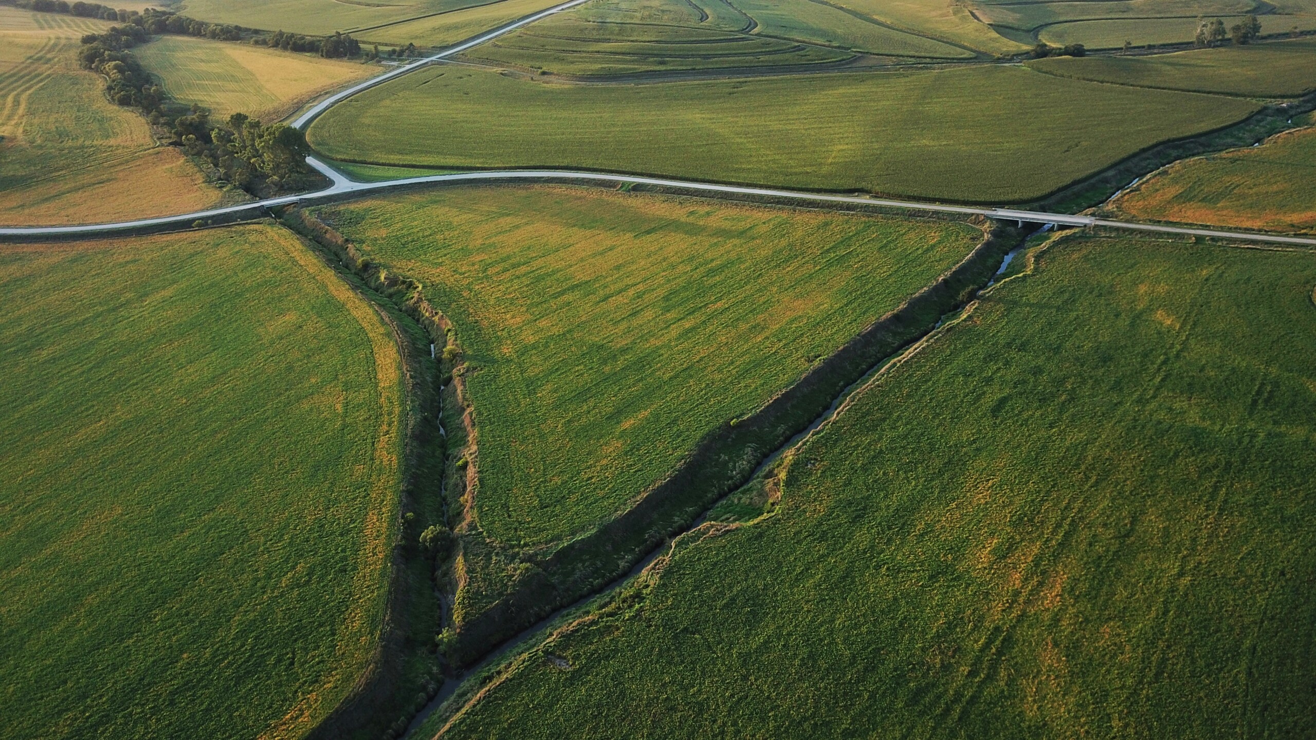 Camera Clubs – Nettelhorst Photography